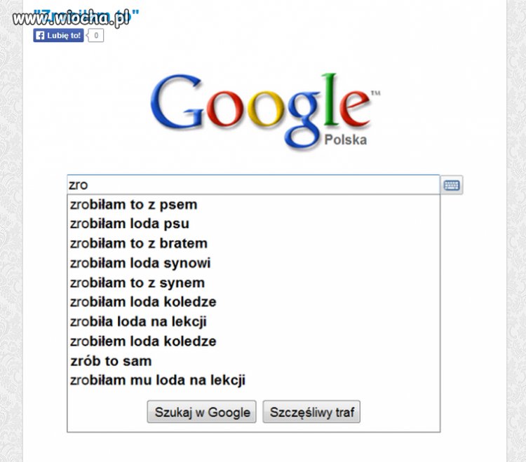 Google Polska - wiocha.pl absurd 1108752